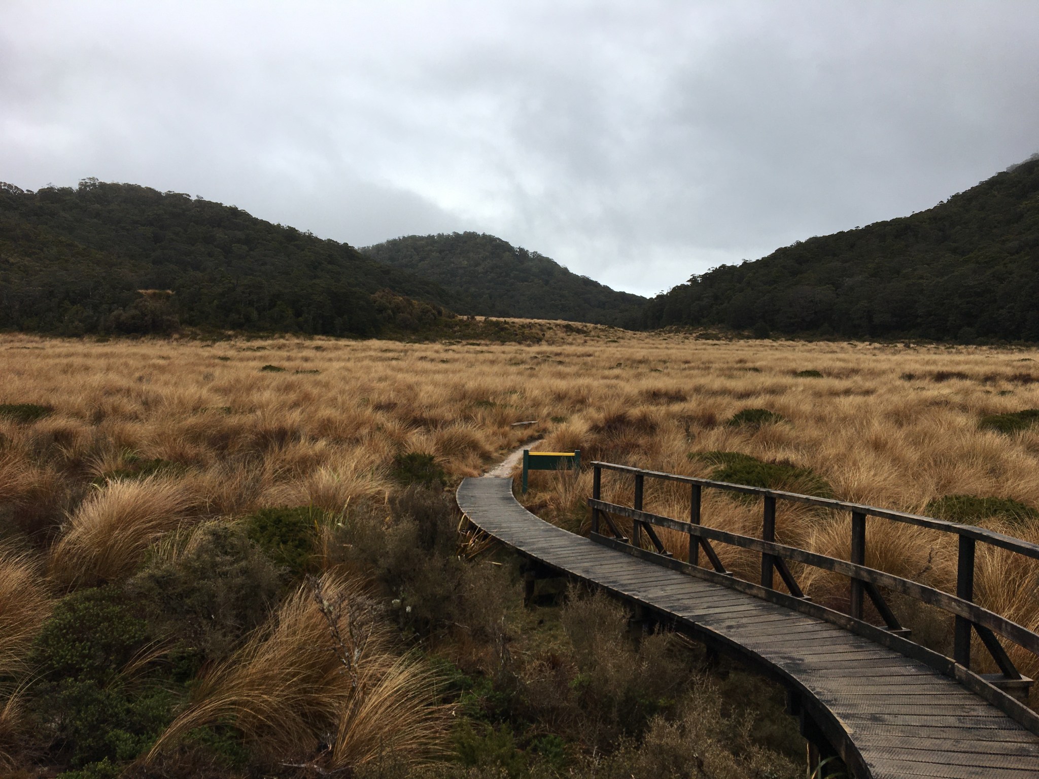Birds of the Heaphy Track | Te Papa’s Blog