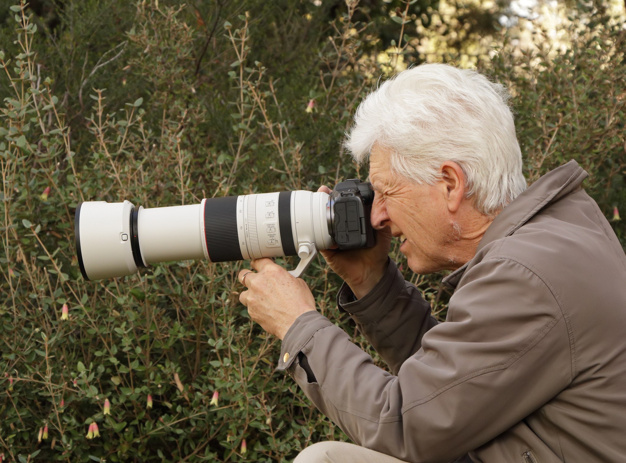 Forensic photography applied to forest ecology | Te Papa’s Blog