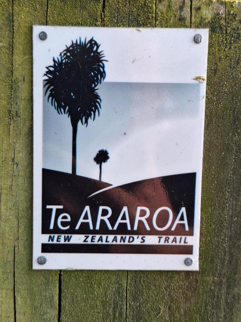 Birds of Te Araroa 1 – Cape Reinga to Kaitāia | Te Papa’s Blog