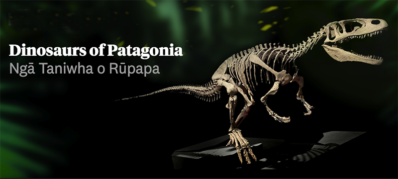 What’s in a name? The trail to Ngā Taniwha o Rūpapa | Te Papa’s Blog