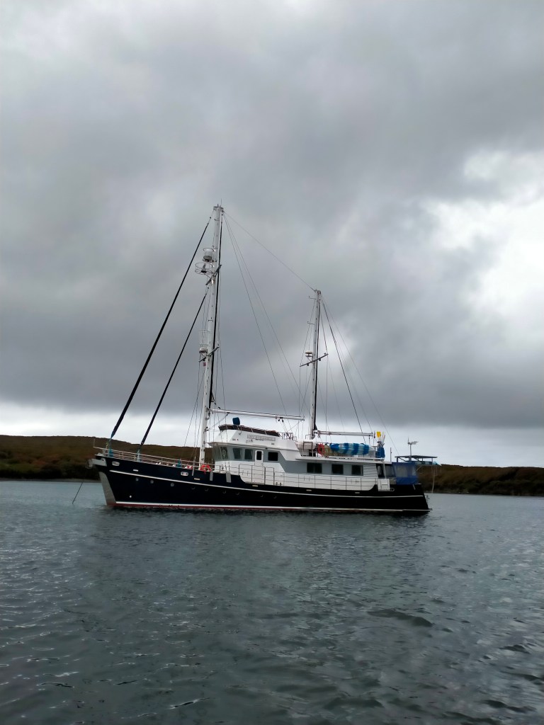 The 2023 Strannik Auckland Island Expedition: An extraordinary botanical voyage to the ...