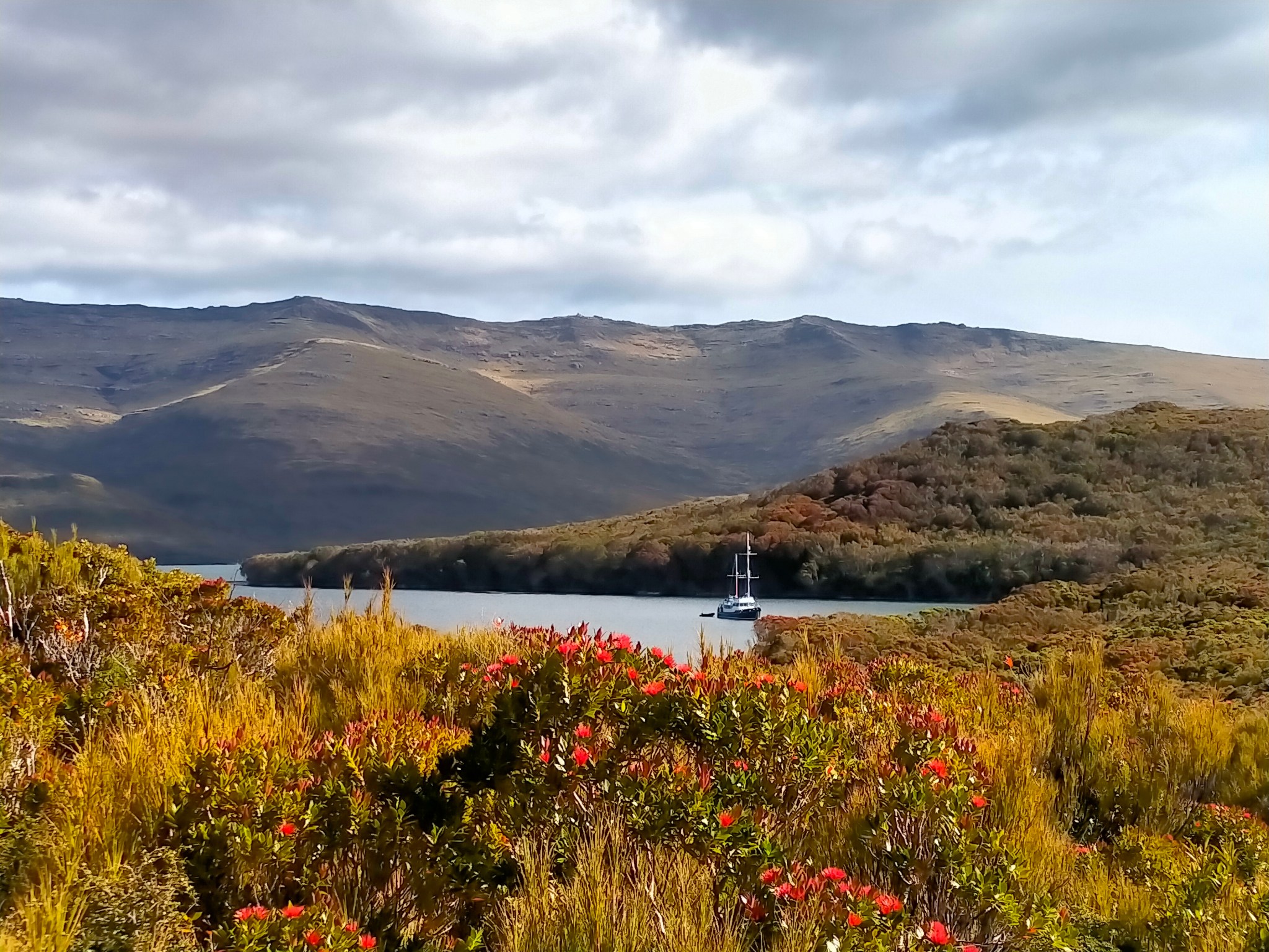 The 2023 Strannik Auckland Island Expedition: An extraordinary ...