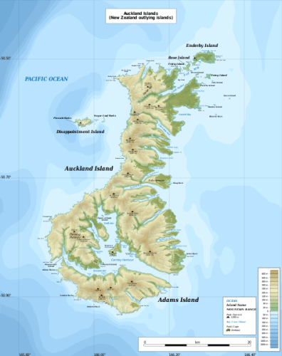 The 2023 Strannik Auckland Island Expedition: An extraordinary ...