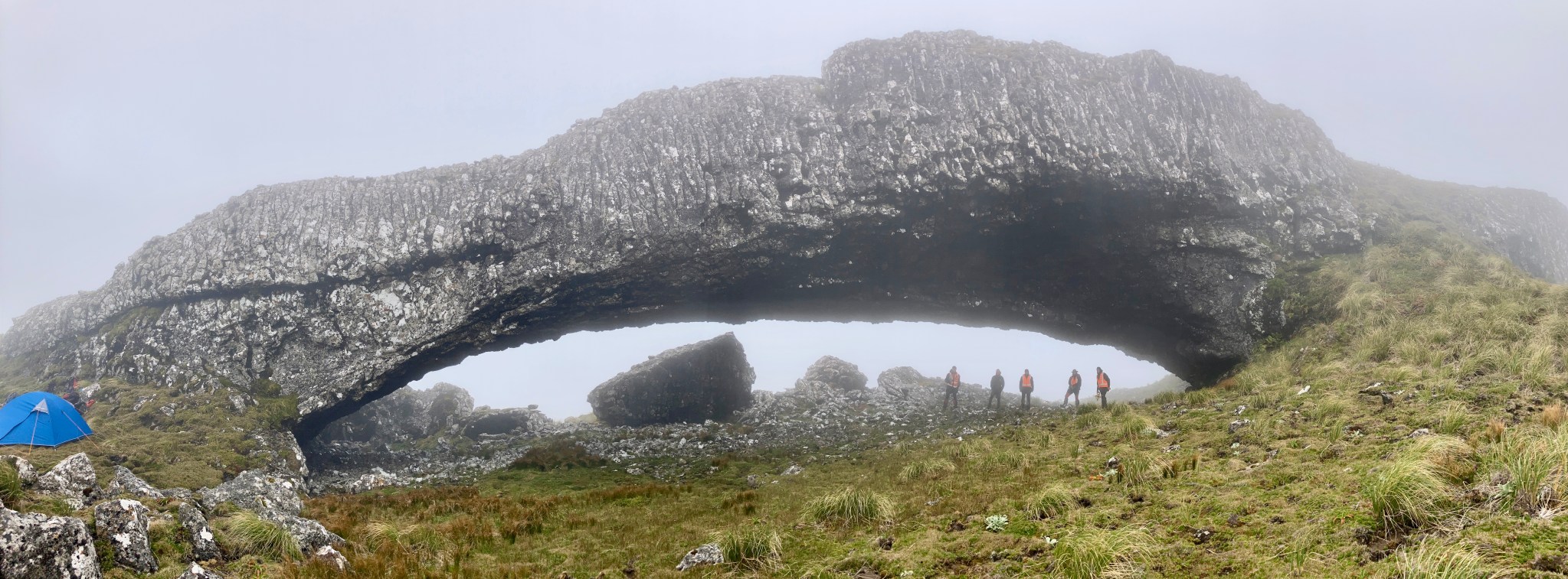 The 2023 Strannik Auckland Island Expedition: Our favourite places and ...