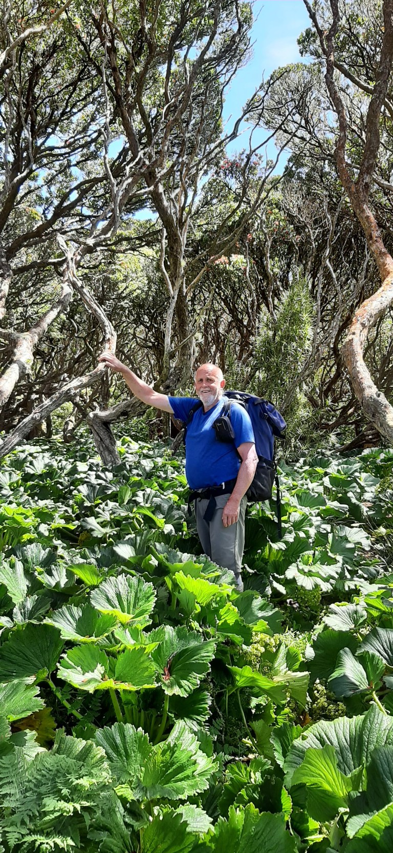 The 2023 Strannik Auckland Island Expedition: Our favourite places and ...