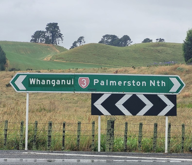 Birds of Te Araroa 10 – Whanganui to Palmerston North | Te Papa’s Blog