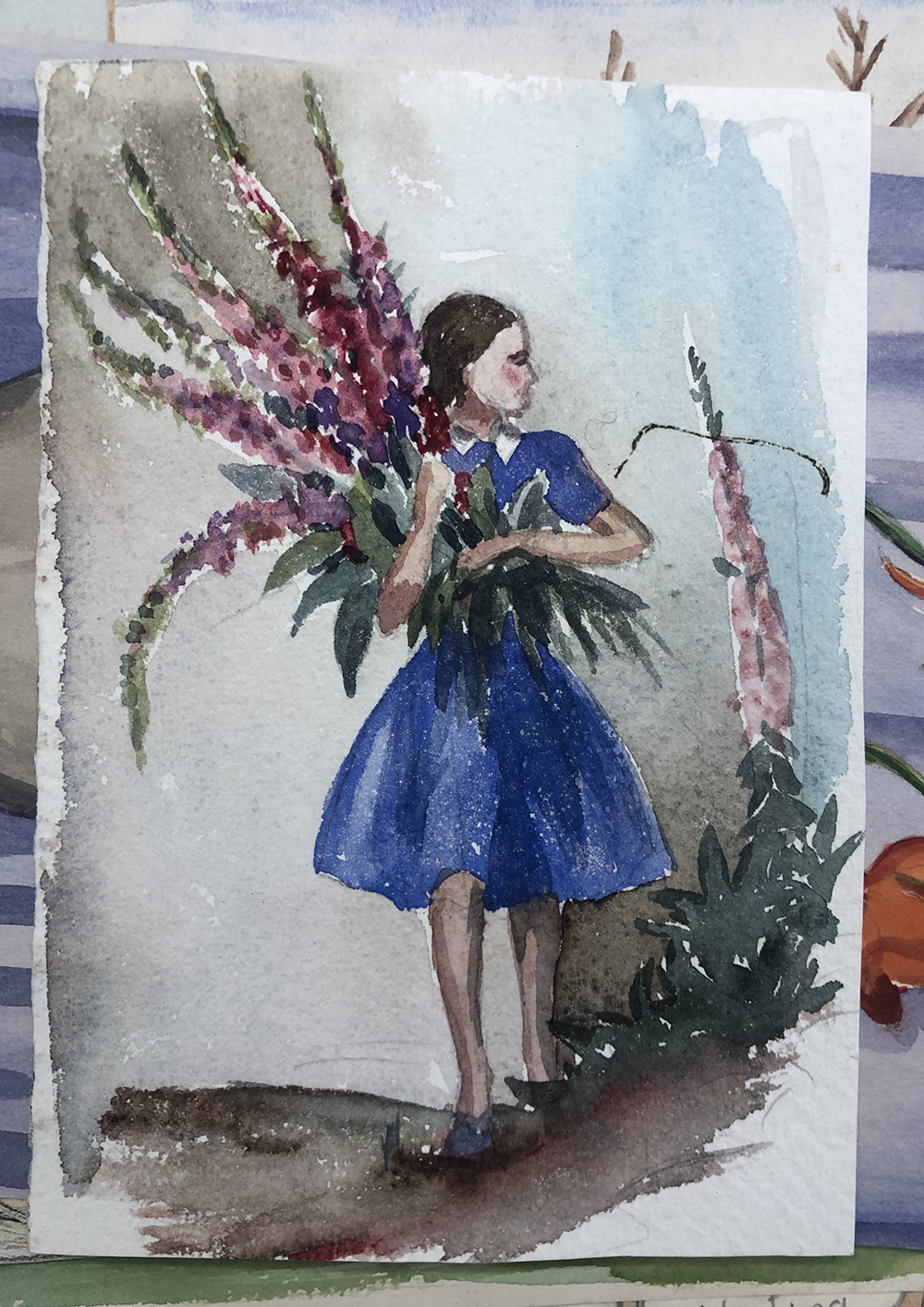 At Nancy Adams’ Desk: Juvenilia and wildflowers | Te Papa’s Blog